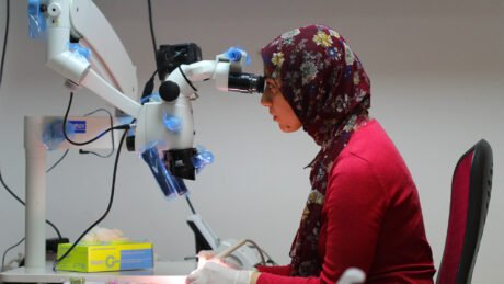 State of the art endodontic preceptorship - Dental Alliance